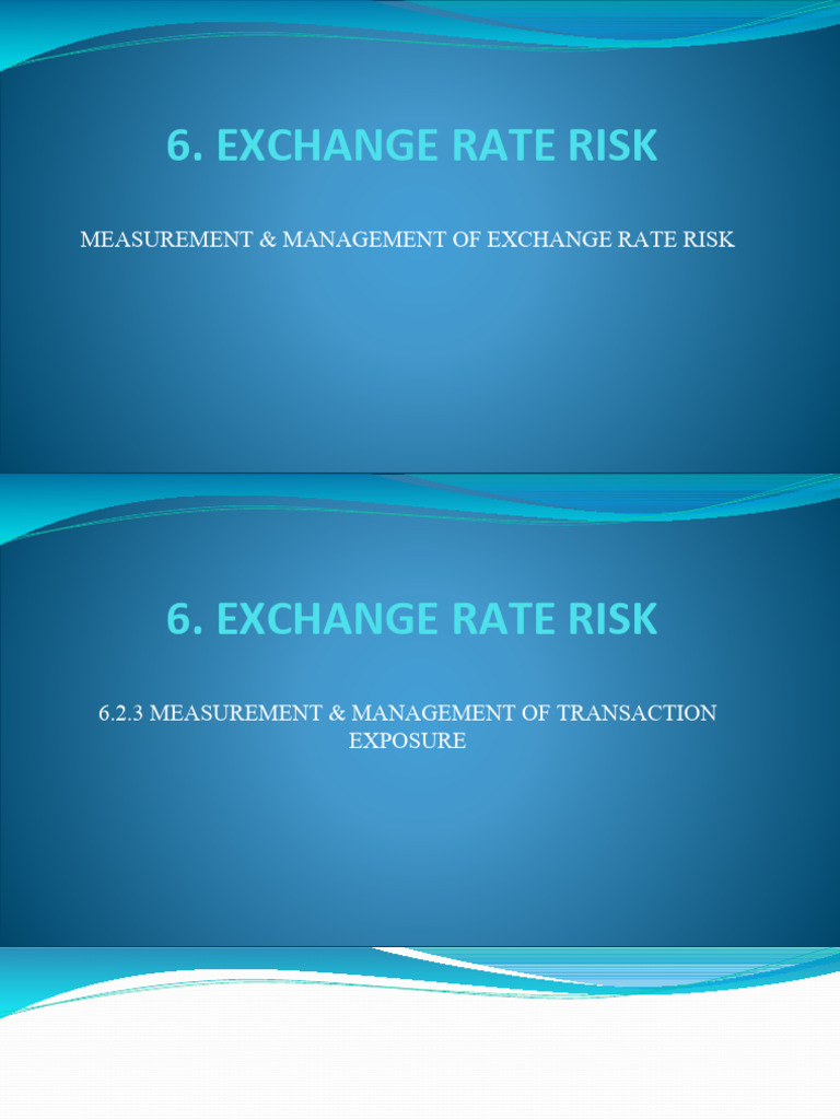 Measurement of Exchange Rate Risk | PDF | Option (Finance) | Hedge ...