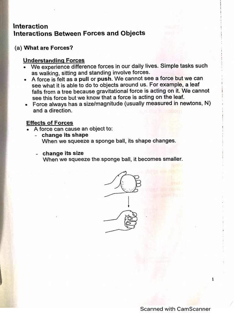 Revision Notes Forces | PDF