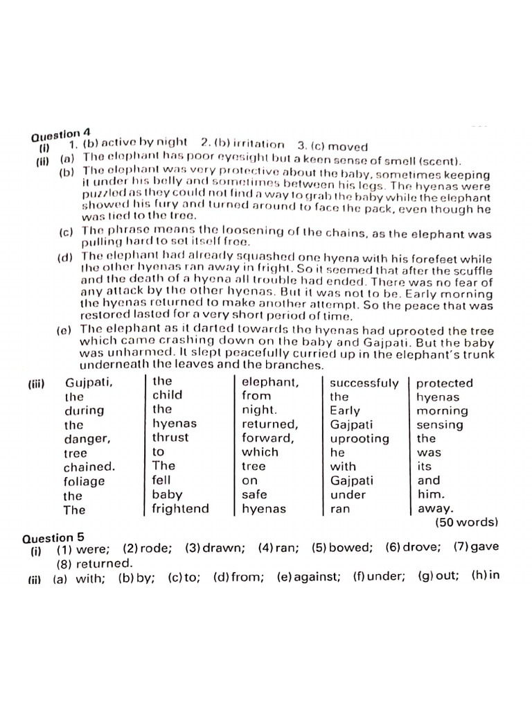 9th Comprehension | PDF