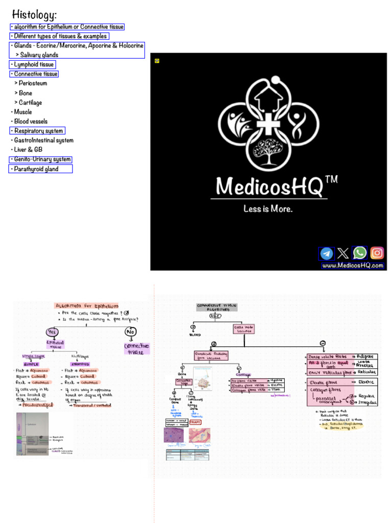 Histology: Tissue Types and Glands Guide | PDF