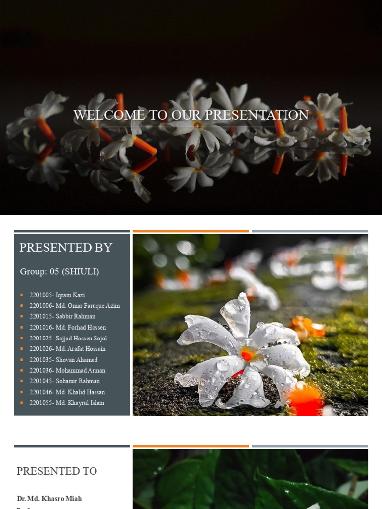 Presentation On Column F | PDF | Column | Beam (Structure)