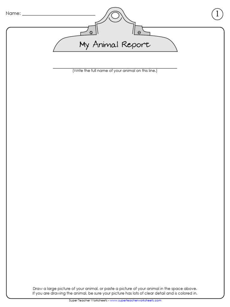 My Animal Report Worksheet Template | PDF