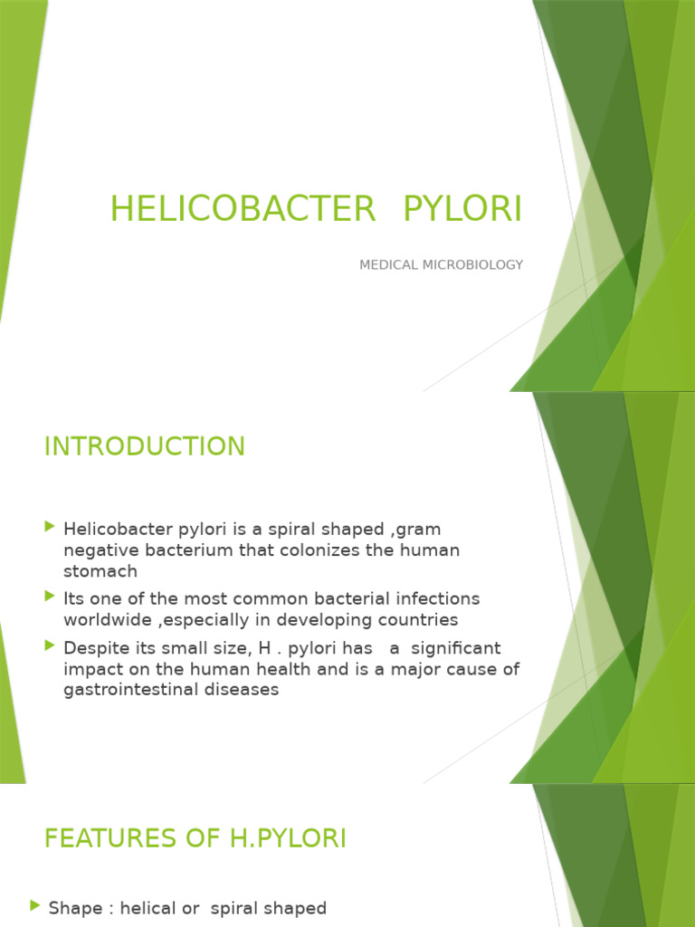 Helicobacter Pylori Presentation | PDF | Stomach | Diseases And Disorders