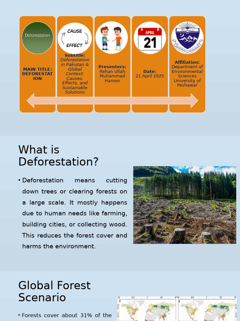 Deforestation Presentation | PDF | Deforestation | Forests