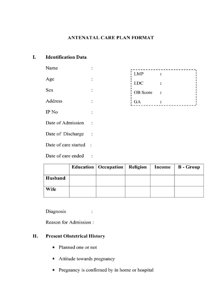 Antenatal Care Plan Format | PDF