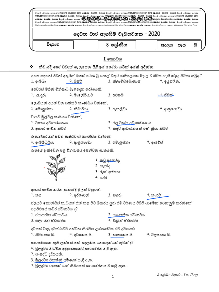 Grade 8 Science Paper | PDF