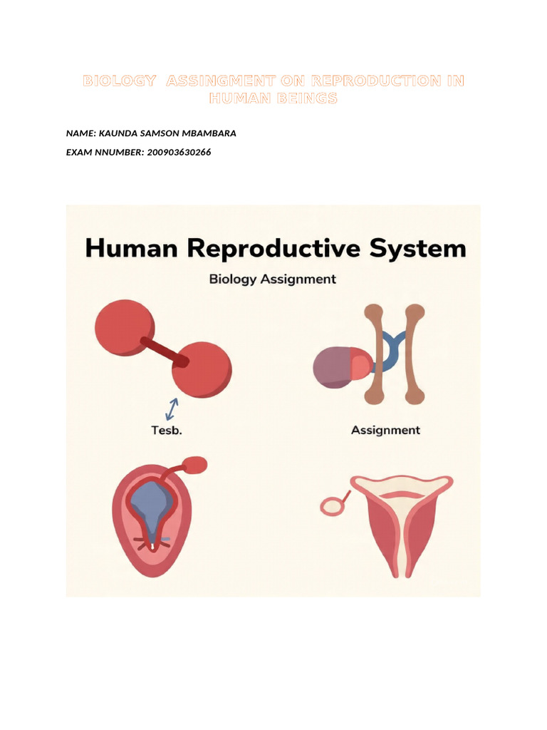 Biology Assingment On Reproduction in Human Beings | PDF | Testicle ...