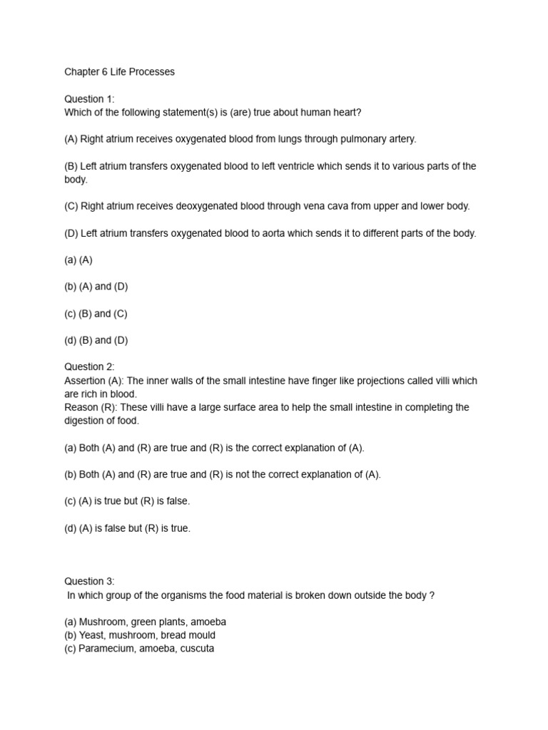 Chapter 6 Life Processes Mcqs (CEA) | PDF | Digestion | Urinary System