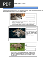 Anexo Lobos Continuemos Estudiando | PDF | Zoología