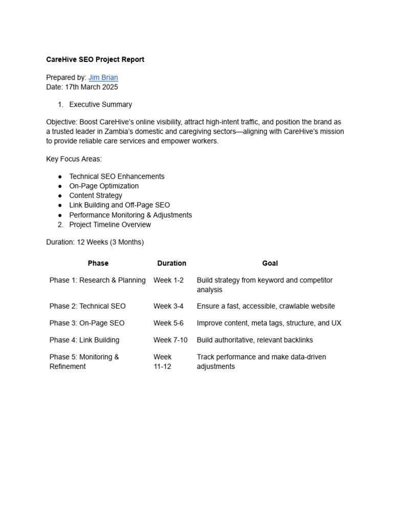 CareHive SEO Project Report | PDF | Search Engine Optimization | World Wide Web