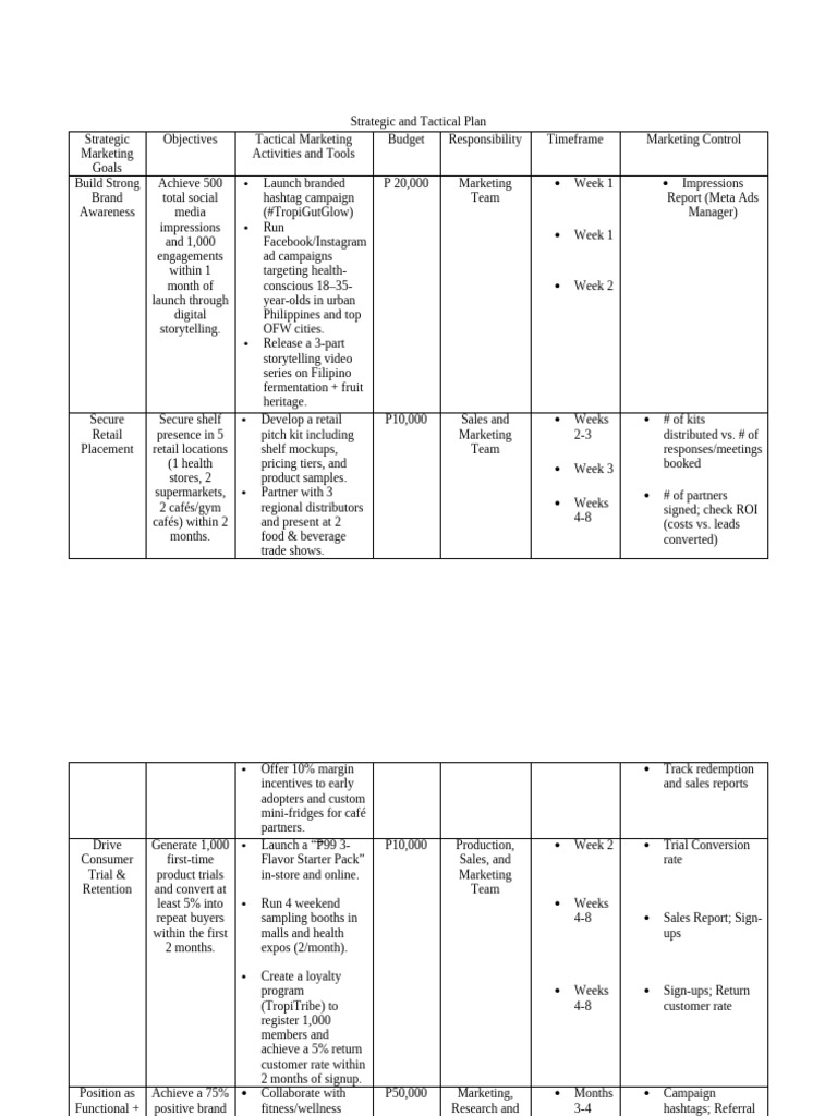Strategic and Tactical Plan Sample | PDF | Marketing | Brand