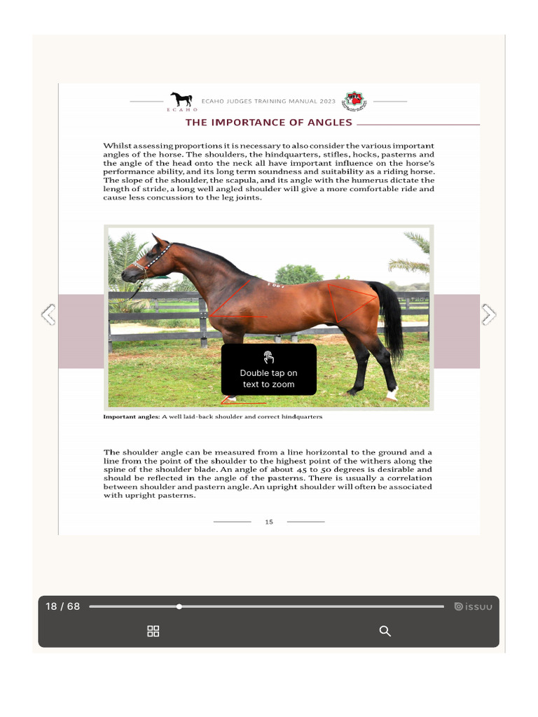 ECAHO Judges Training Manual 2023 - English by ECAHO - Issuu | PDF