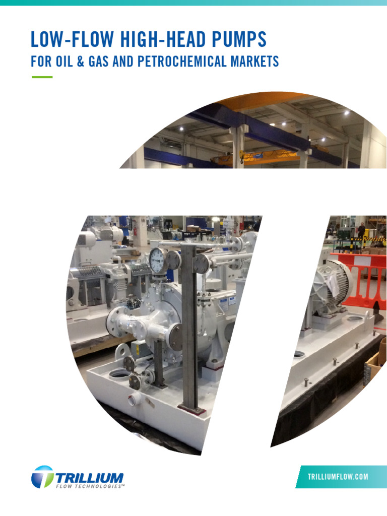 Low-Flow High-Head Pumps Overview | PDF | Bearing (Mechanical) | Pump