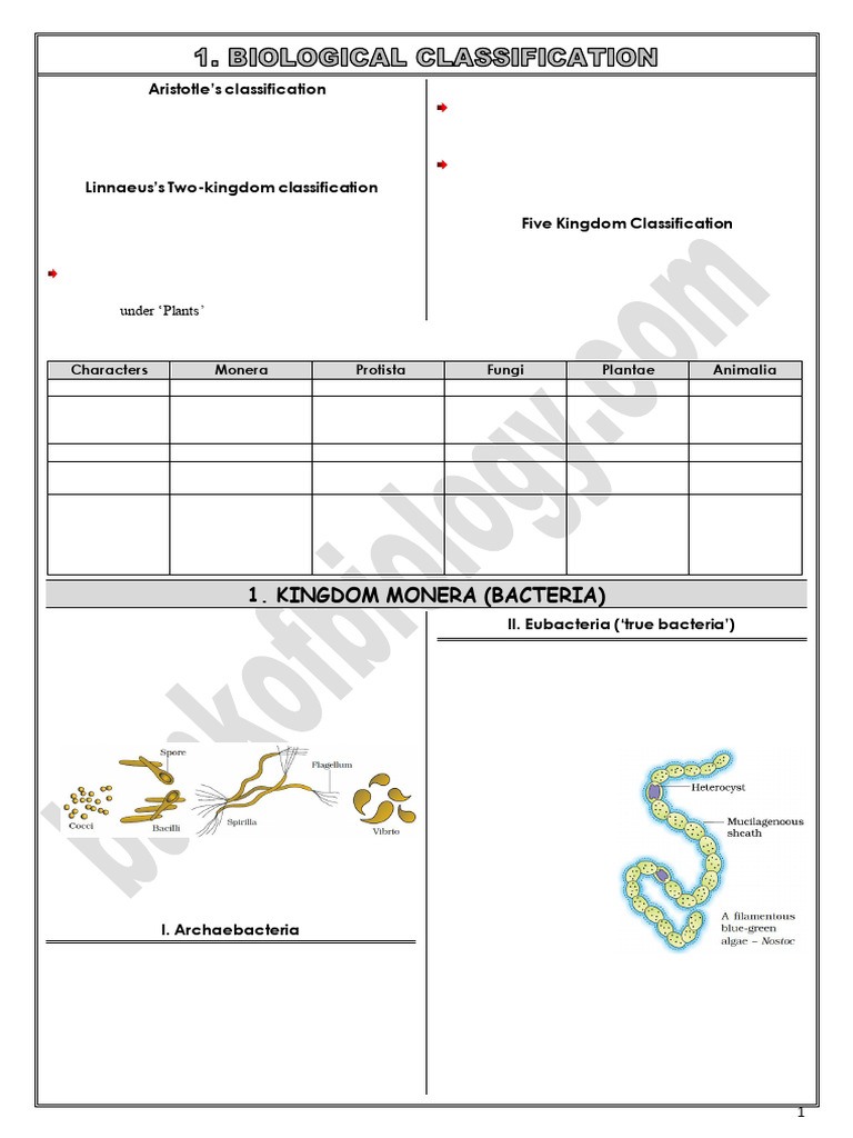 2 Biological Classification-Notes | PDF | Fungus | Spore