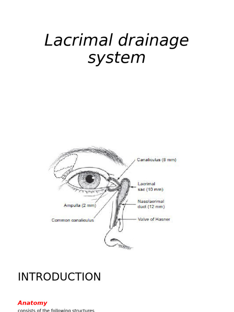 Lacrimal Drainage System Overview | PDF | Diseases And Disorders ...
