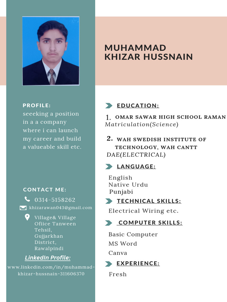 Muhammad Khizar Hussnain - CV | PDF