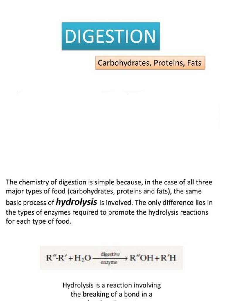 Digestion of Fats Protein Carbohydrate | PDF