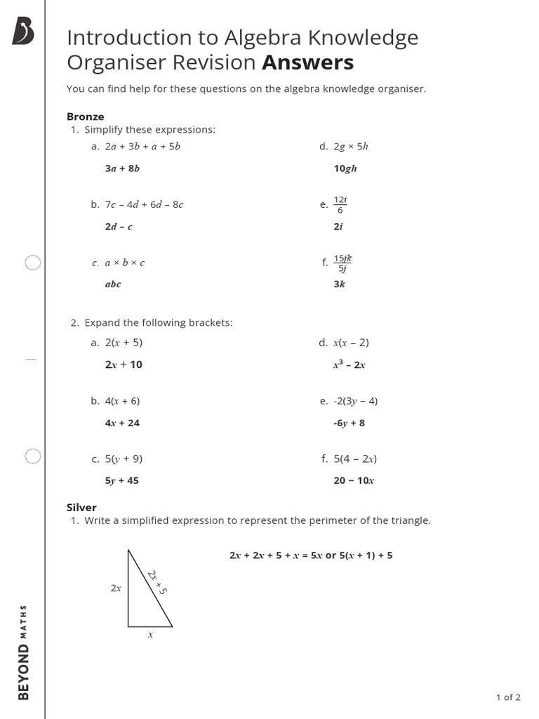 Introduction To Algebra Answers | PDF