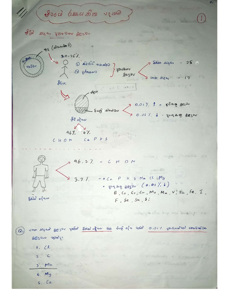 Bio - Unit 2 | PDF