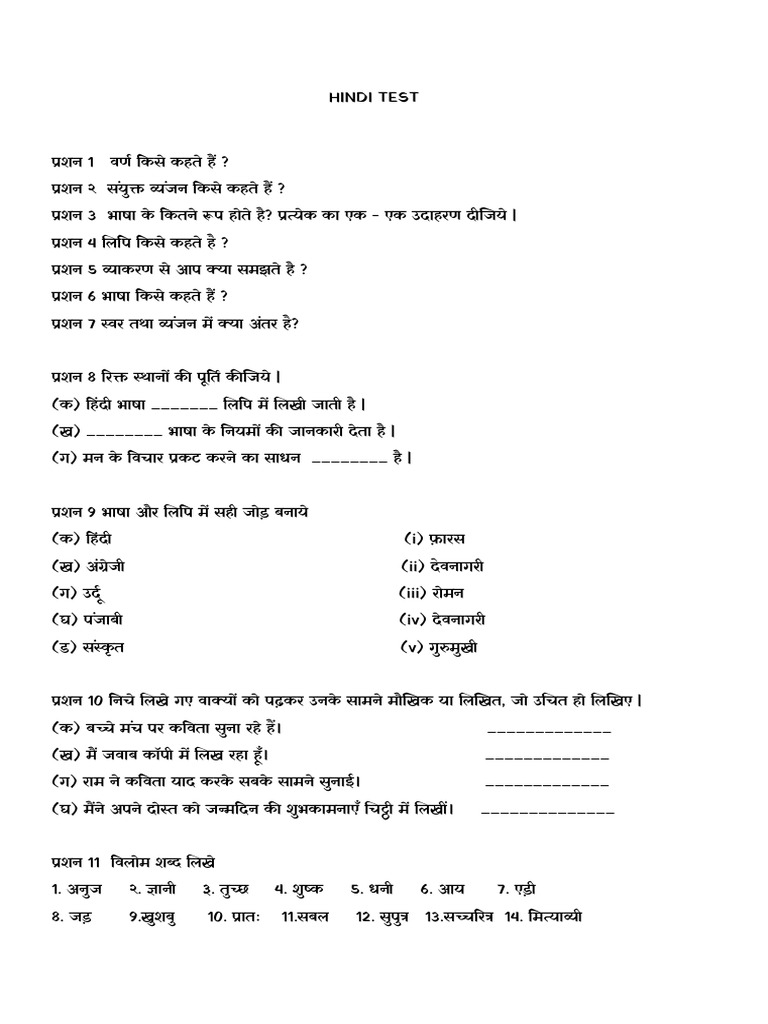 Hindi Test | PDF