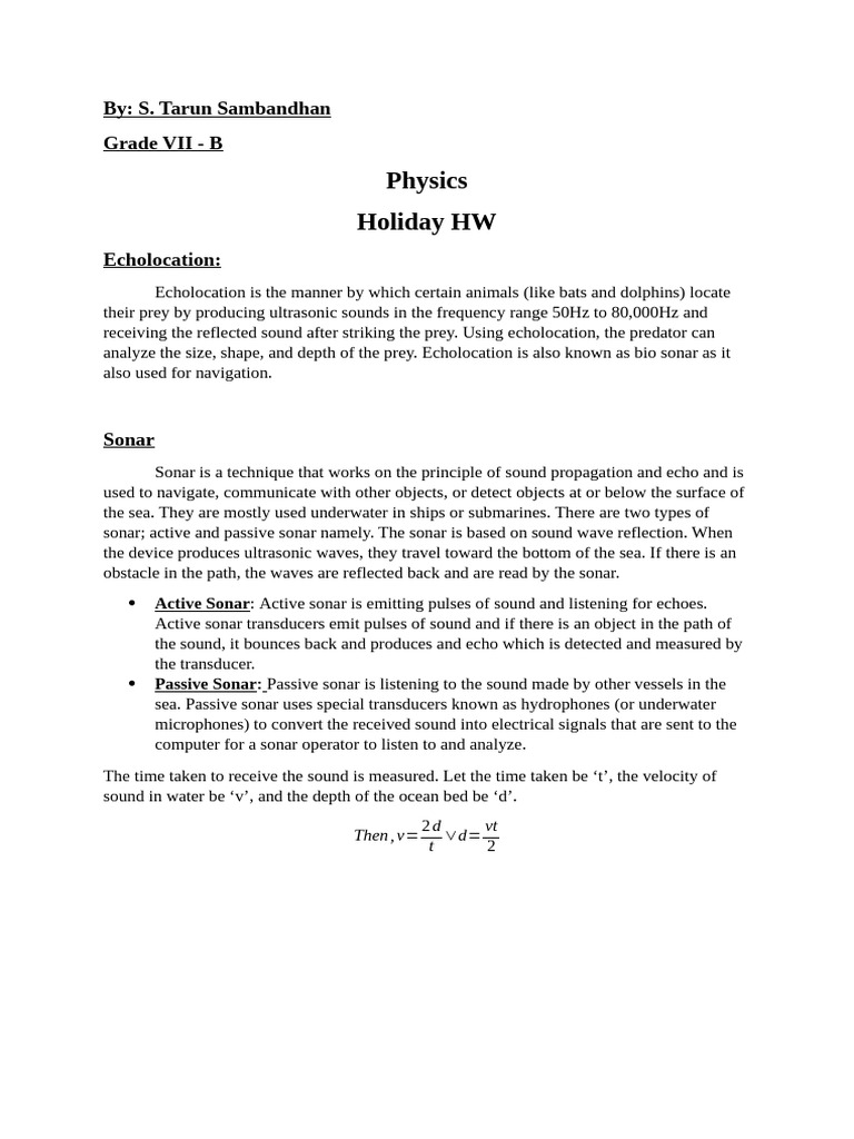 Physics Holiday Homework | PDF