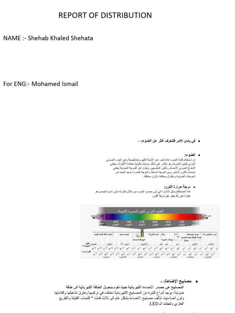 Report 2 | PDF