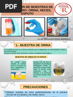 Recolección de Esputo y Secreciones en Enfermería | PDF | Tos | Neumonía