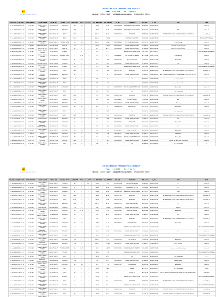 Momo Statement Report | PDF | Financial Services | Banking Technology