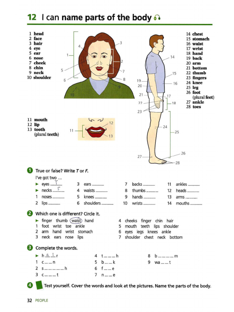 Hw5 Appearance | PDF