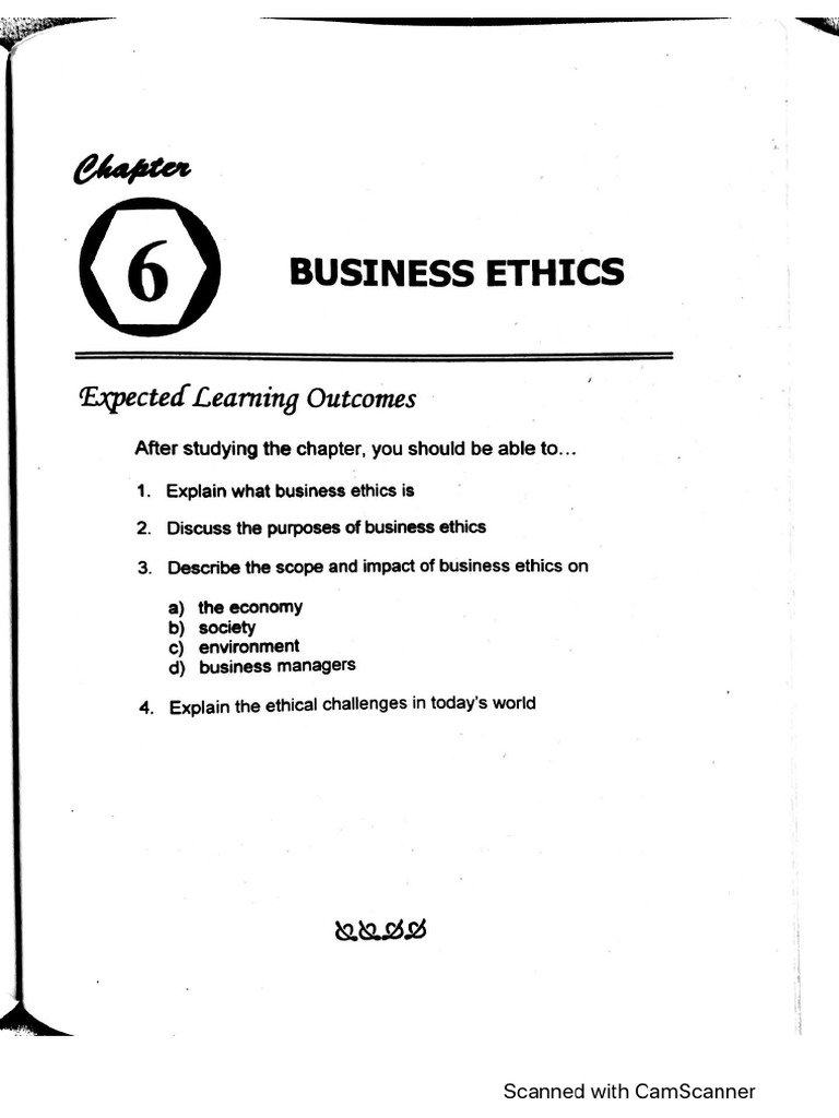 Chapter 6 Business Ethics | PDF