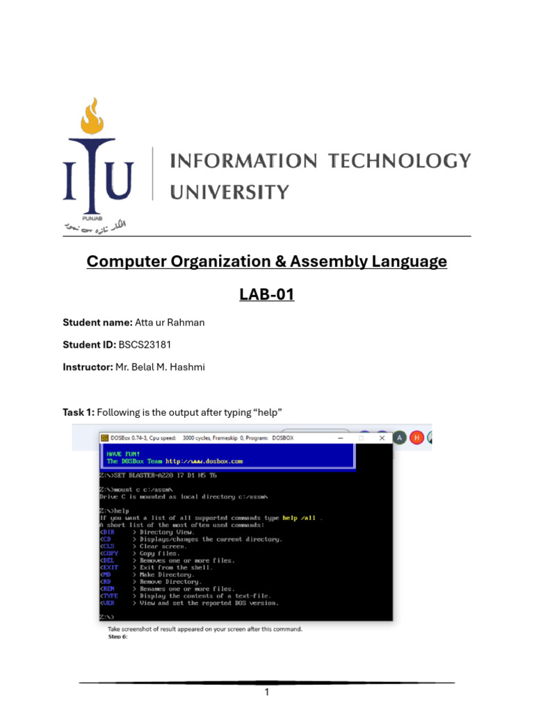 Computer Organization Lab Tasks | PDF