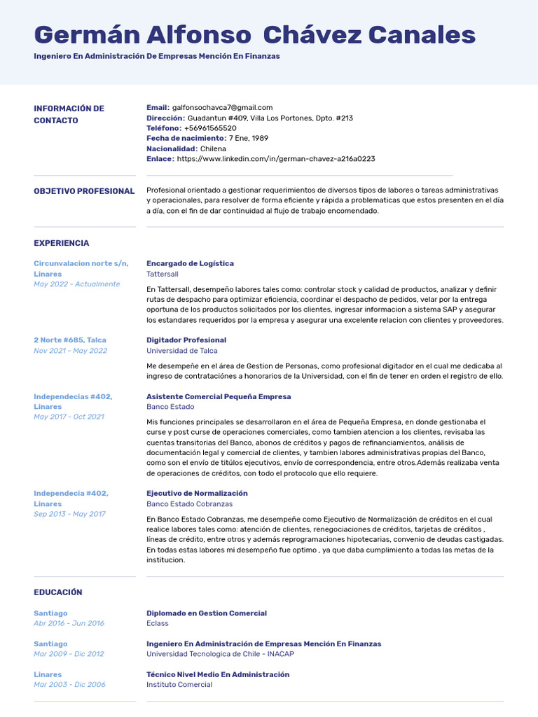 Perfil Profesional de Germán Chávez Canales | PDF | Logística | Business