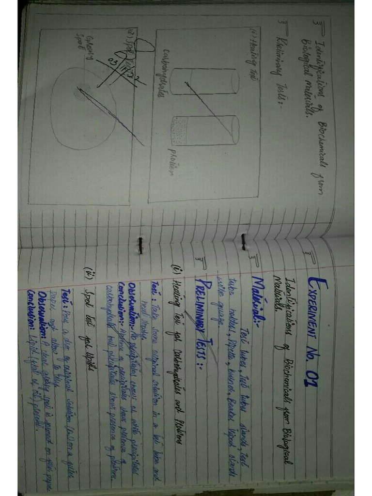 Biology Practicals 1 | PDF