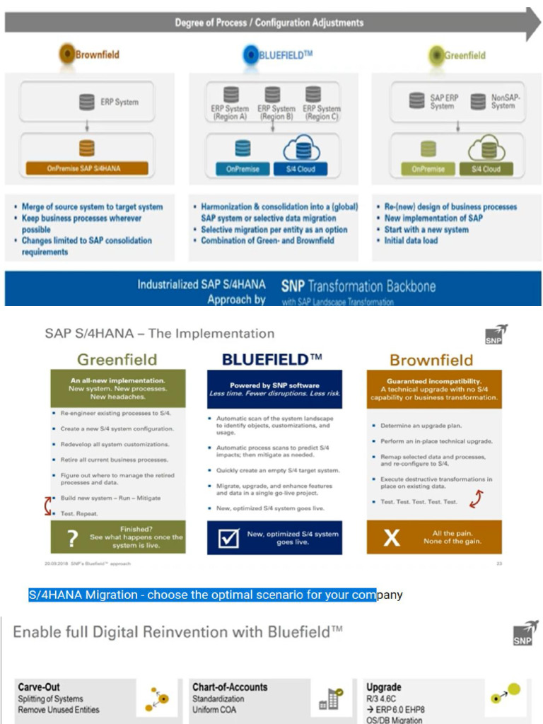 BlueField SAP Implementation | PDF