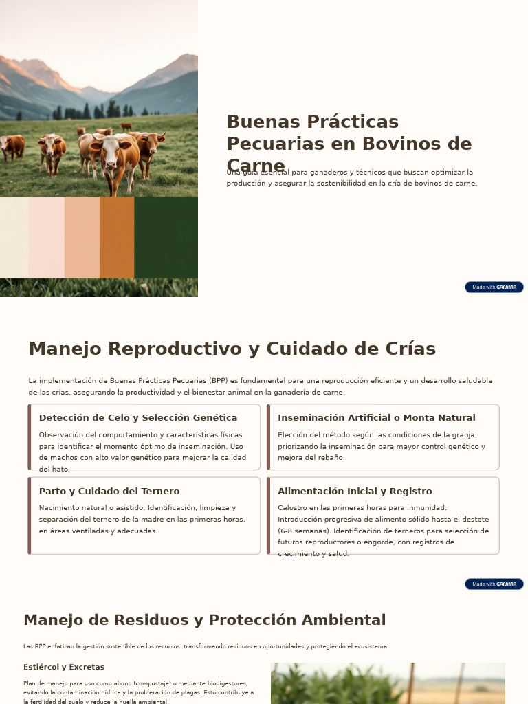 Buenas Practicas Pecuarias en Bovinos de Carne | PDF | Residuos | Sustentabilidad