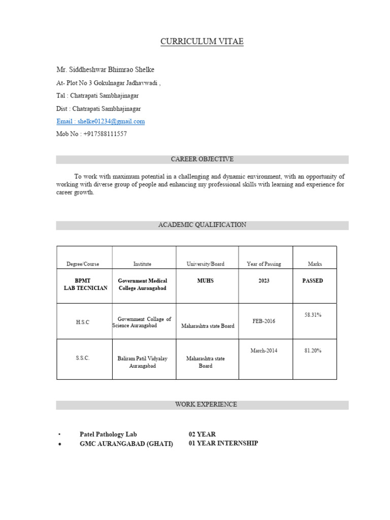Siddheshwar Shelke Resume | PDF