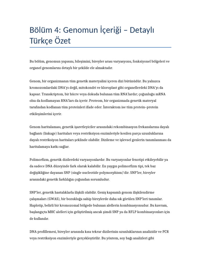 Chapter4 Turkce Tam Ozet | PDF