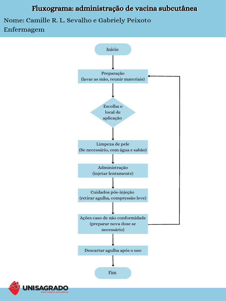 Fluxograma - Camille e Gaby PDF | PDF