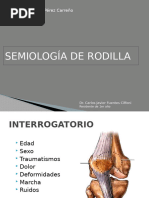 Pruebas Esenciales de Rodilla en Kinesiología | PDF | Rodilla ...