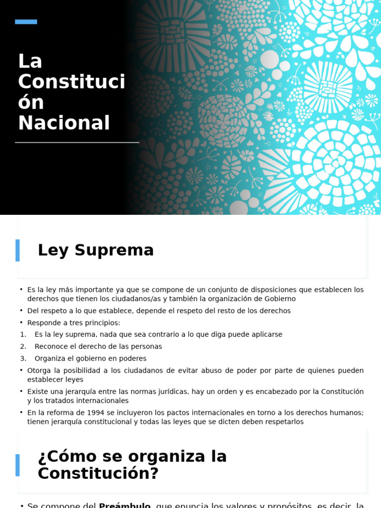 Estructura y Principios de la Constitución Nacional | PDF ...