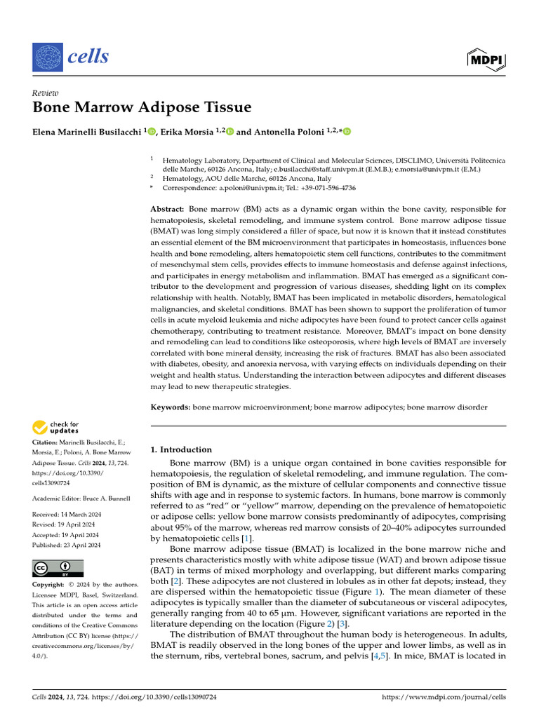 Adipose Light Micro Page 2 | PDF | Adipose Tissue | Bone Marrow