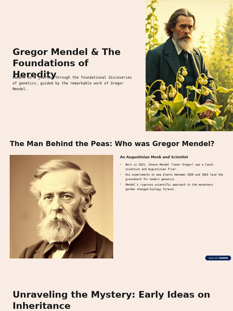 Gregor Mendel and The Foundations of Heredity | PDF | Heredity | Genetics