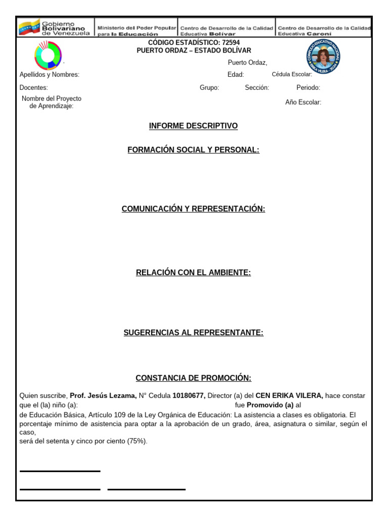 Informe Descriptivo Inicial Cen Erika Vilera Iii Momento Definitivo | PDF