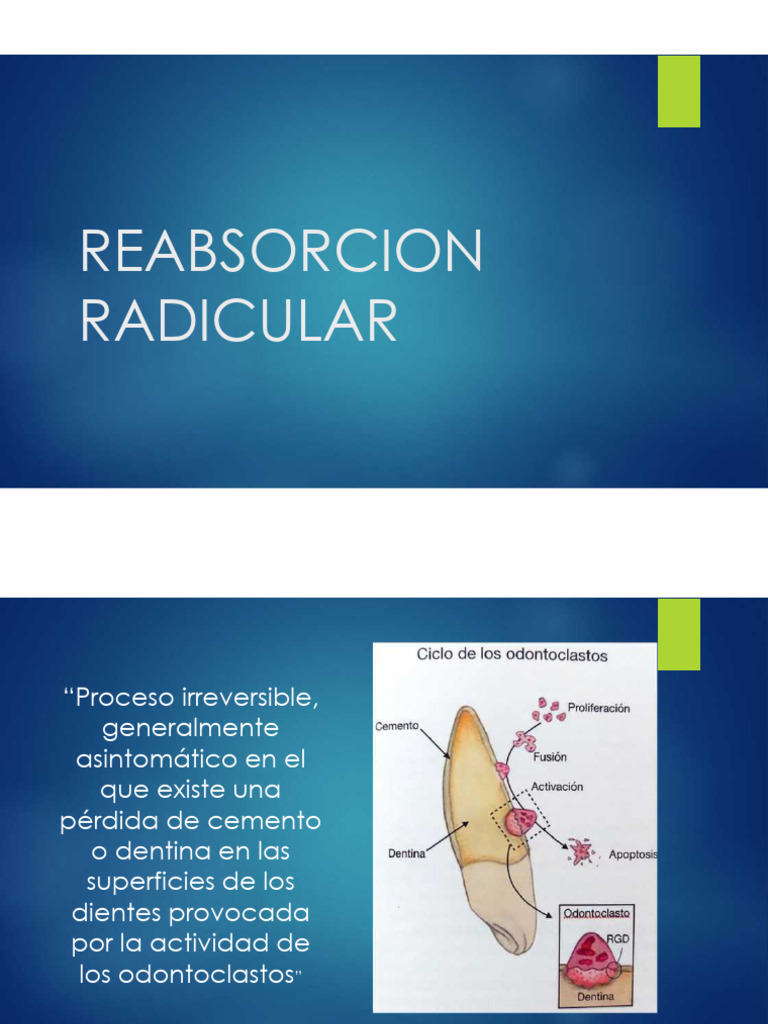 Reabsorcion Radicular | PDF | Especialidades Medicas | Enfermedades y ...