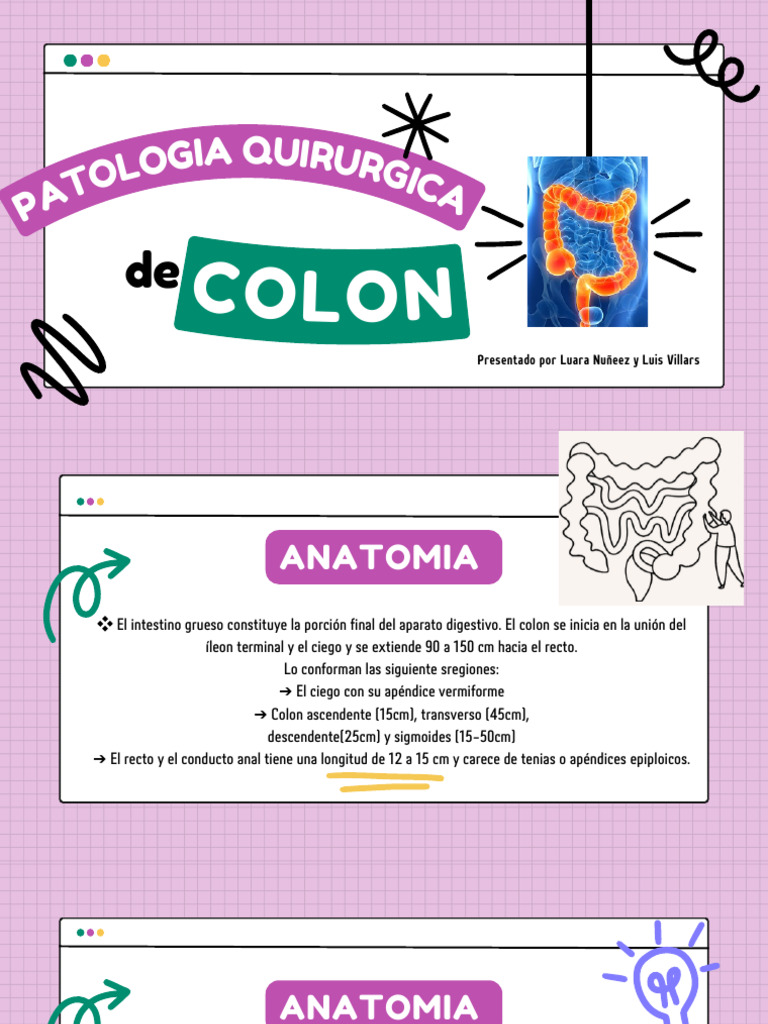 Colon Recto y Ano | PDF | Cáncer colonrectal | Intestino grueso