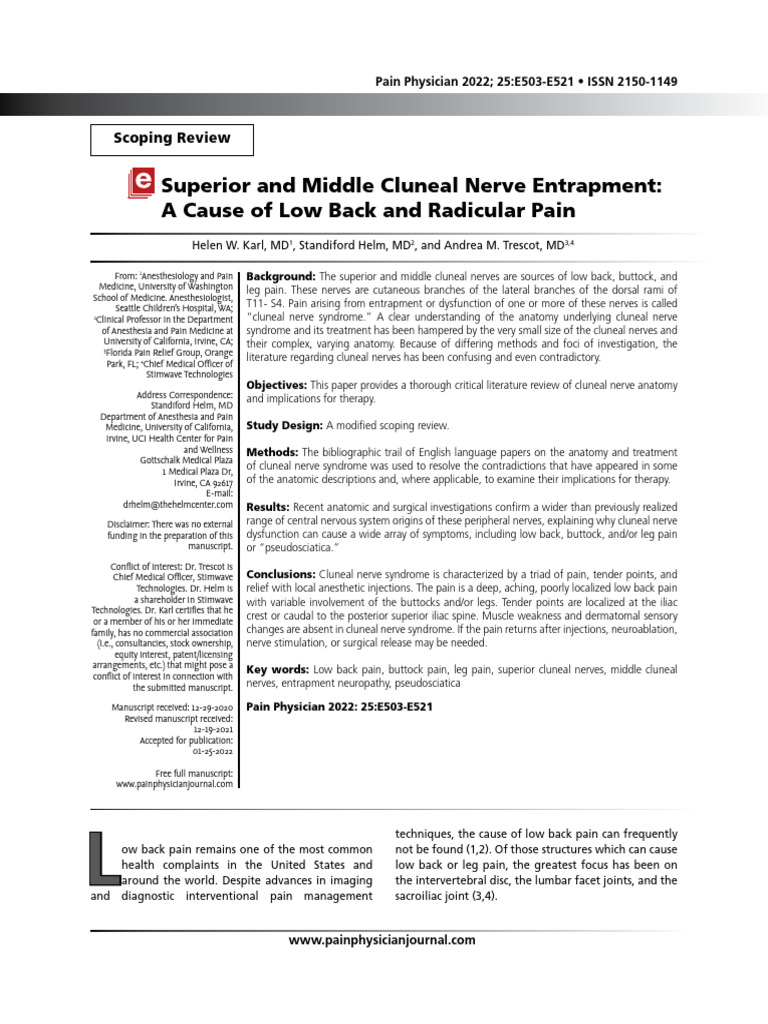 Cluneal Nerve Anatomy and Pain Management | PDF | Human Anatomy ...