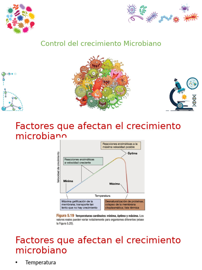 5) Control Del Crecimiento Microbiano | PDF