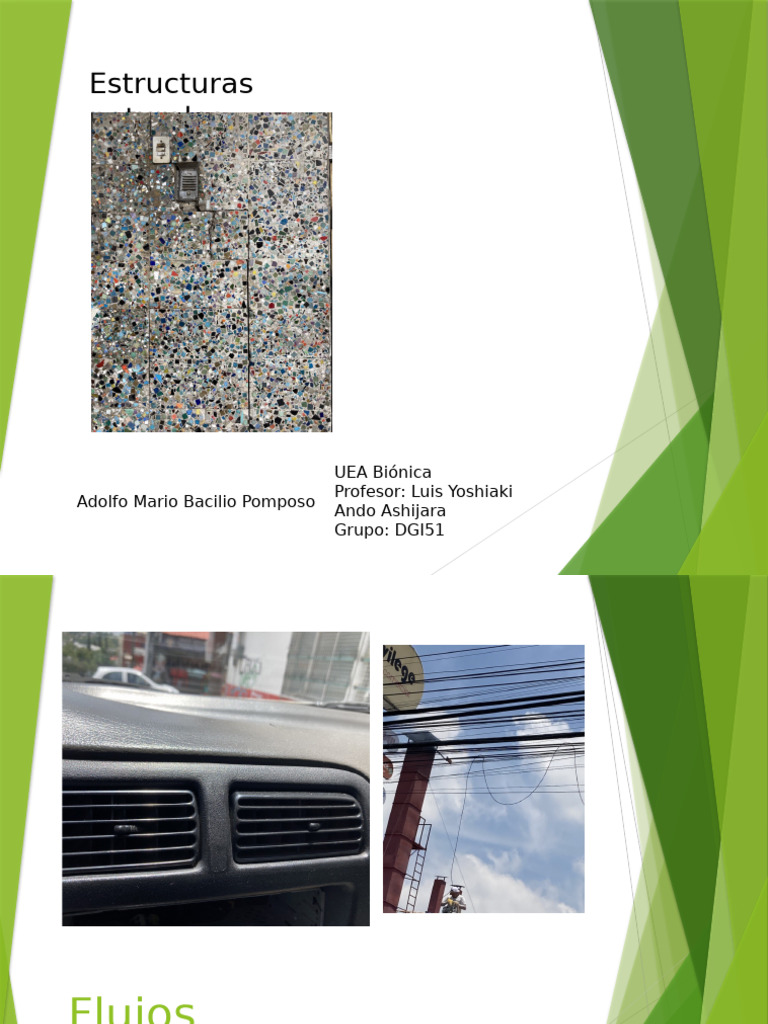 Estructuras Naturales | PDF