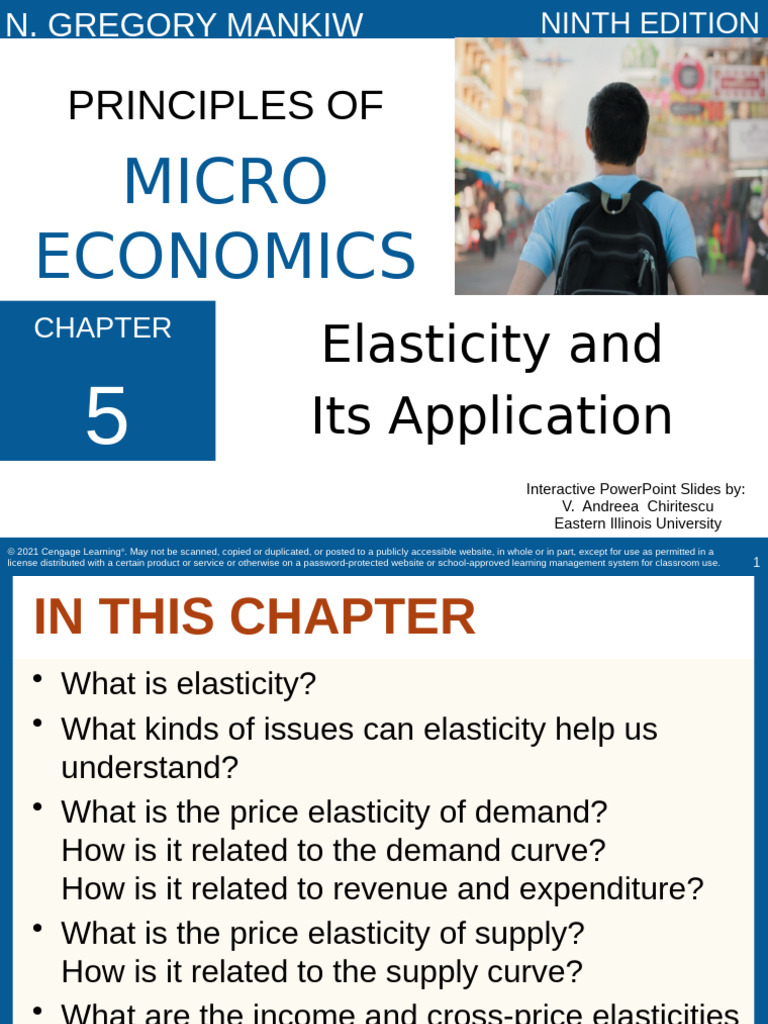 Interactive CH 05 Elasticity and Its Application 9e | PDF | Elasticity ...