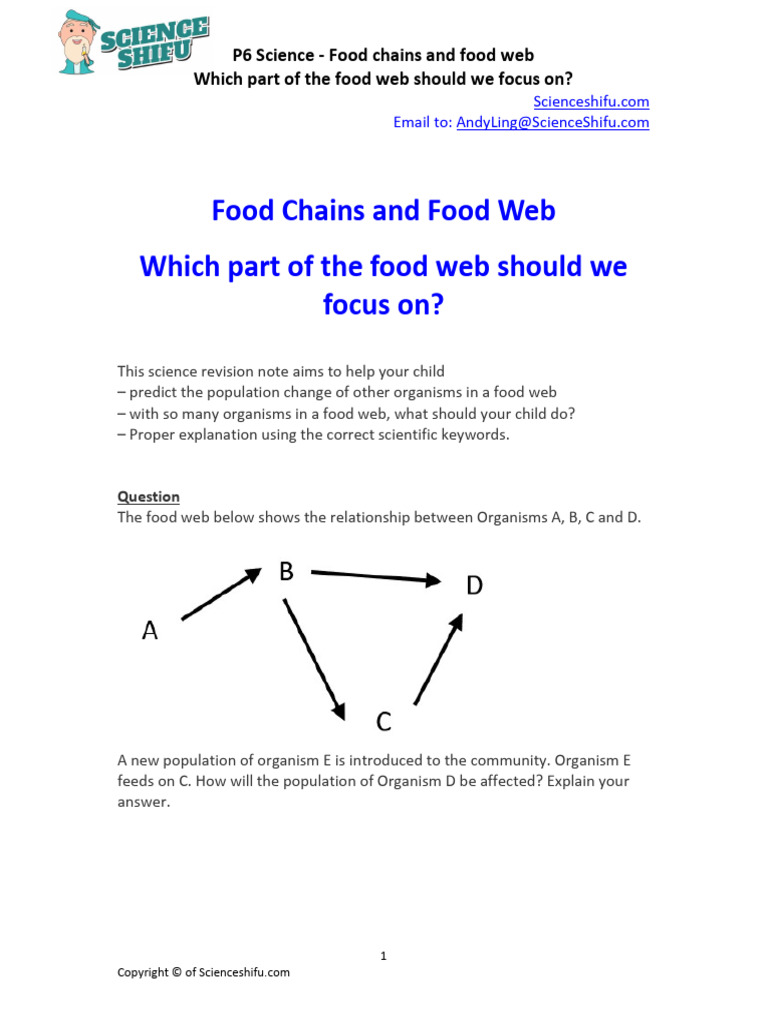 Science Revision Notes - Food Chains and Food Web - Relevant Organisms ...